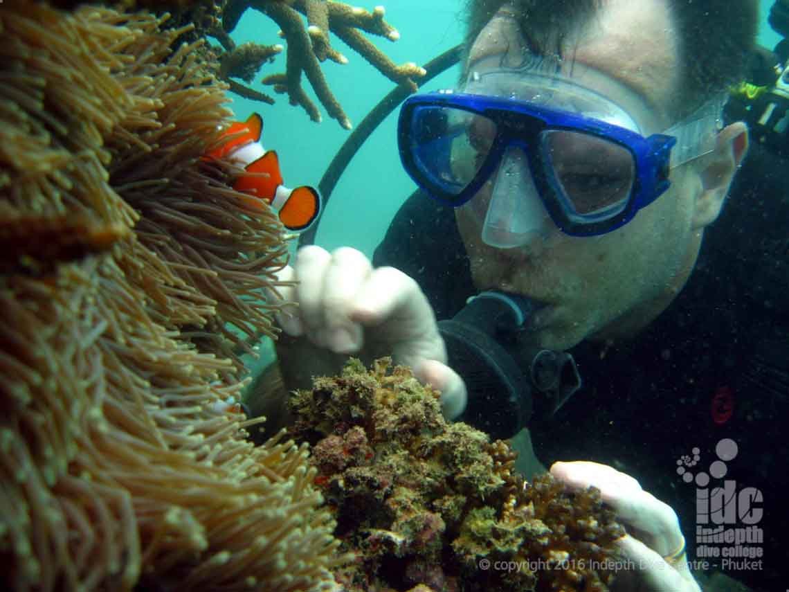 Racha Yai Bay 3 - Lucy Reef - Indepth Dive Centre Phuket - IDC Phuket