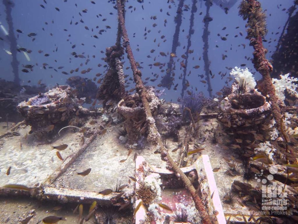 Phuket Wreck Diving: King Cruiser Wreck - Phuket - IDC Phuket