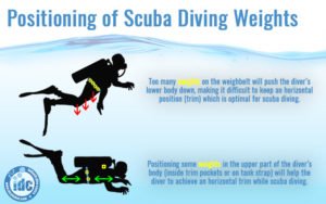 Scuba Diving Weights & Quick Release Weight System - IDC Phuket